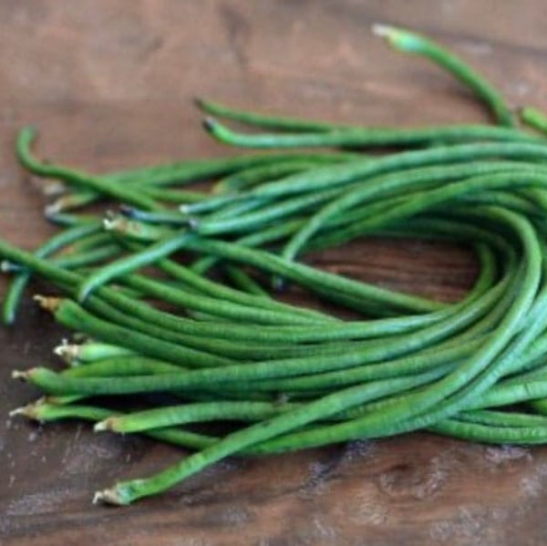 Emerald Green long Payar Seeds| Green Long Beans – Mini's Lifestyle Store