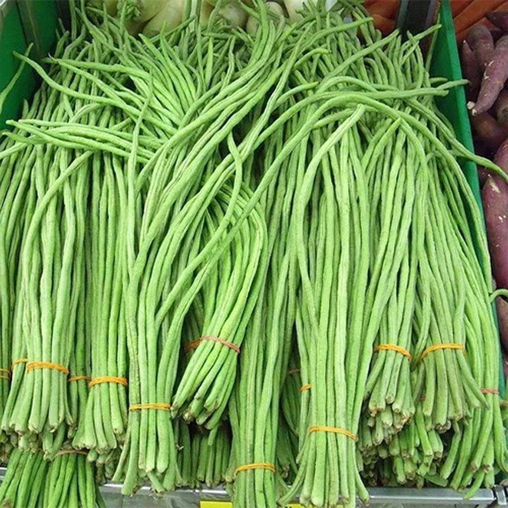 1.5 metre long Payar Seeds (Arka Mangala ) | Green Long Beans – Mini's ...