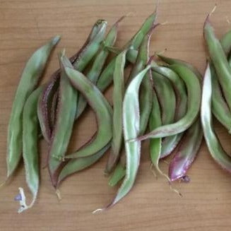 Kutti Payar Seeds| Minis Lifestyle Hub – Mini's Lifestyle Store