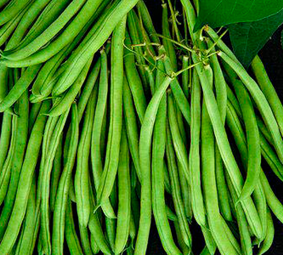 Medium Payar Seeds – Mini's Lifestyle Store